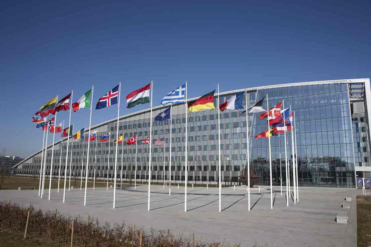 NATO and the Impact of Upcoming Elections - Network 20/20